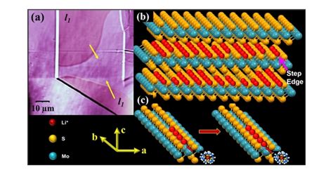 In Situ Visualization Of Lithium Ion Intercalation Into Mos2 Single
