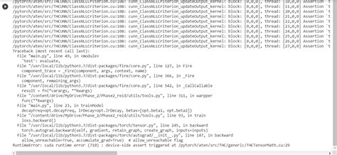 runtimeerror cuda runtime error 710 device side assert triggered