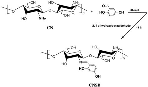 The Schematic Representation Of The Synthesis Of Chitosan Nanoparticle