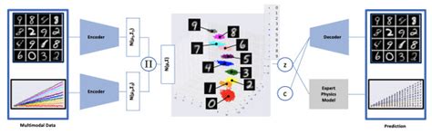 Unsupervised Physics Informed Disentanglement Of Multimodal Data
