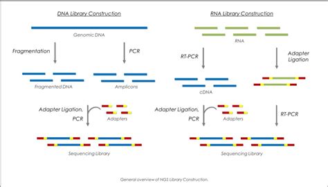 Next Generation Sequencing Ngs Research At St Michaels Hospital
