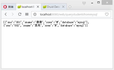 spring boot jdbctemplate配置druid多数据源 mrbird