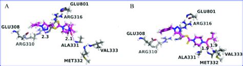 Putative Binding Modes Of The Ligands 26 In The Fad Binding Site Of