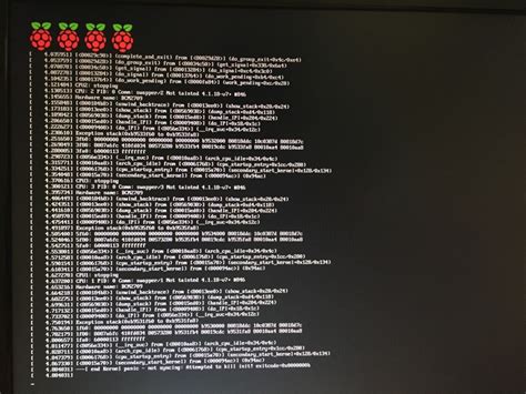 raspberry piでend kernel panic not syncing attempted to kill init