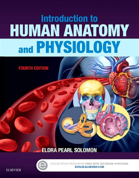 Introduction To Human Anatomy And Physiology Edition 4 By Eldra