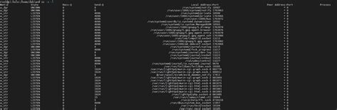 unix socket fonctionnement et utilisations