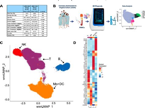 Figure 1 From Single Cell High Dimensional Analysis Of Human Peripheral