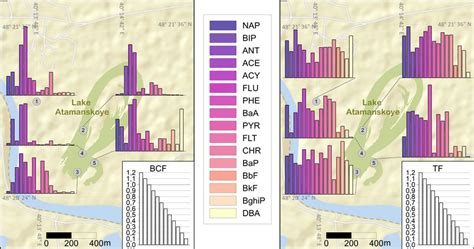 The Bioconcentration Factor Bcf And Translocation Factor Tf Of 16