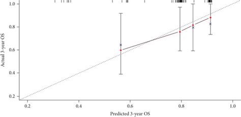 Calibration Curves For 3 Year Prediction In The Validation Set