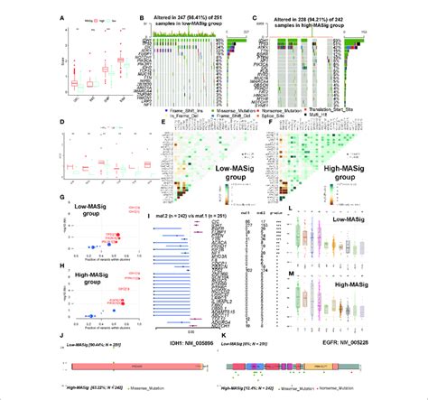 Comparisons Of Somatic Mutations Under Different Masig A The
