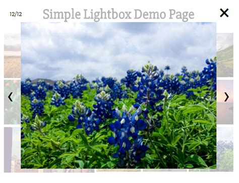 touch enabled lightbox library for vue js vue script