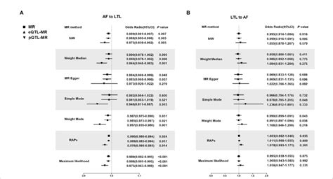 Mendelian Randomization Estimators Of The Causal Relationship Between
