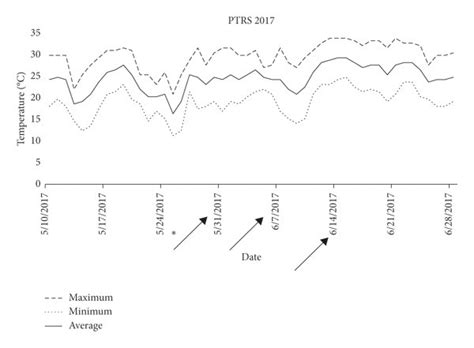Daily Minimum Maximum And Average Temperatures At The Pine Tree