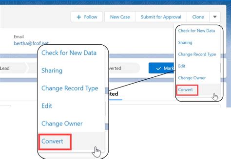 Convert Button On Lead Not Visible In Salesforce Lightning Salesforce