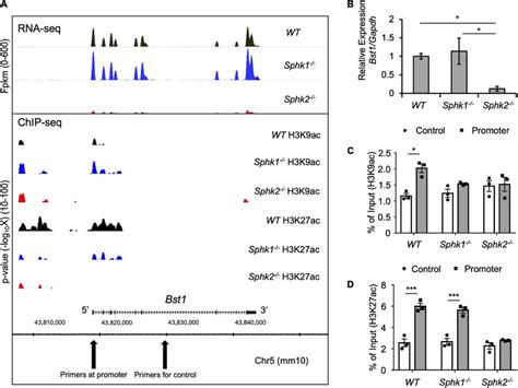 Genome Wide Analysis Data Around Bst1 Gene A Rna Seq And Chip Seq