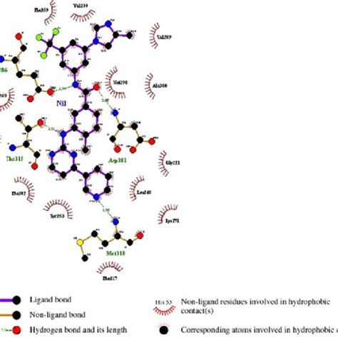 Schematic 2d Binding Mode Representation With The Ligand Nilotinib As