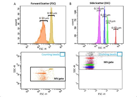 Flow Cytometry Cell Counting Beads Bead Skin Bright