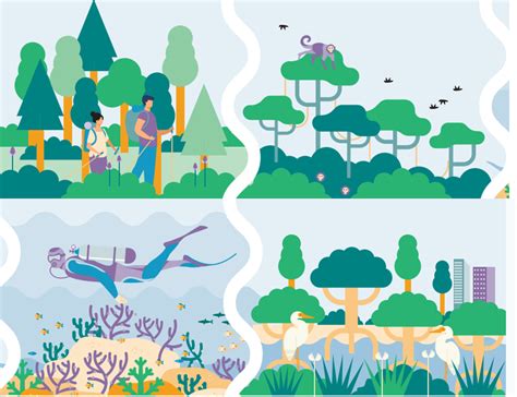 Ciudades Y Transporte Sustentable Soluciones Basadas En La Naturaleza