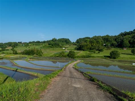 荘園ってなあに？ 貴族や寺院の財源となった中世日本の土地制度を知ろう【親子で歴史を学ぶ】 Hugkum（はぐくむ）