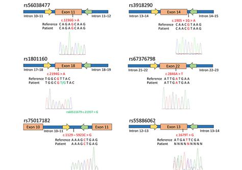 Improving Single Nucleotide Polymorphisms Genotyping Accuracy For