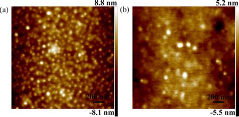 Bjnano Fabrication Of Gold Coated Pdms Surfaces With Arrayed