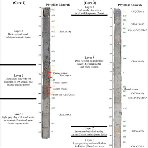Photographs Of The Cores Showing The Stratigraphic Units Alongside The