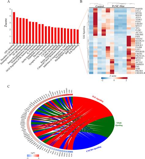 Rna Sequencing Based Transcriptome Profiling Of Cardiac Tissue
