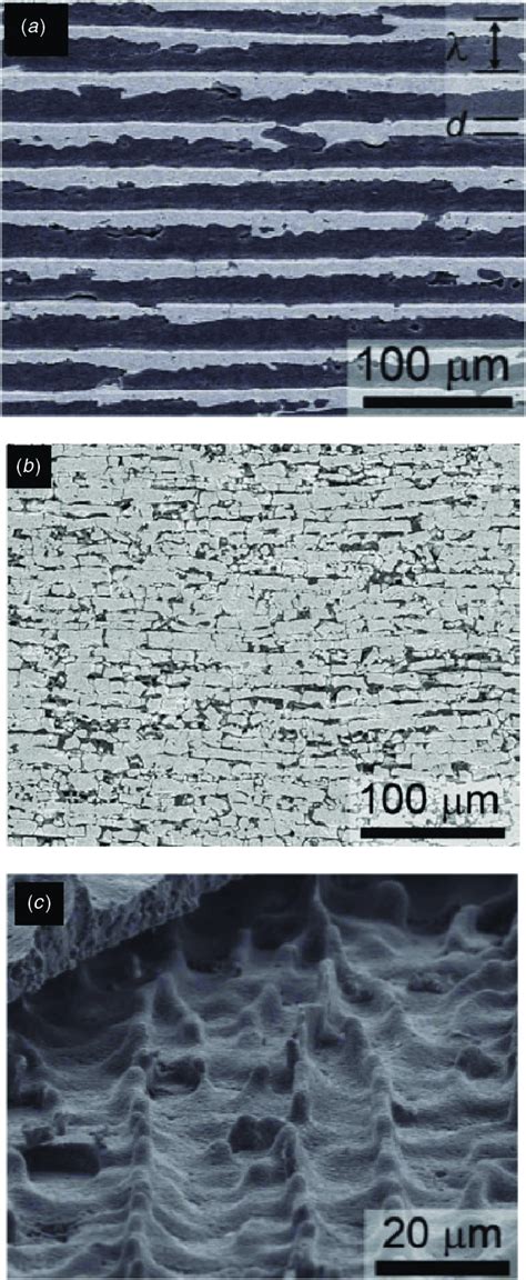 A The Al 2 O 3 Pmma Lamellar Composite Structure Download
