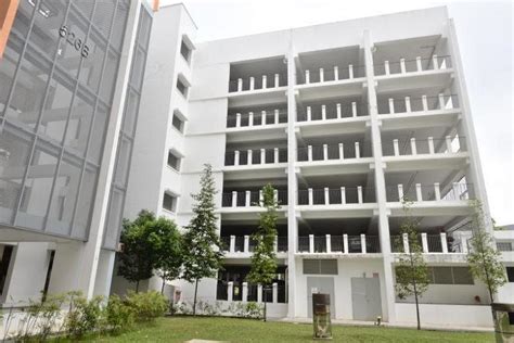 Girl 13 Found Dead At Foot Of Multi Storey Carpark In Pasir Ris The