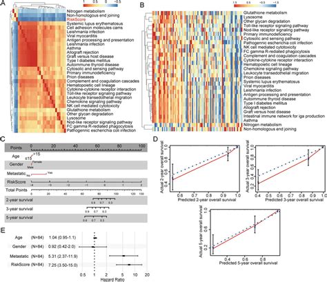 Relationship Between The Risk Score And Gene Related Pathways And