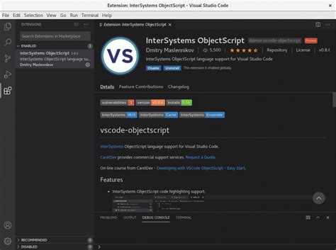objectscript for vs code icon doesn t display in vs code panel my xxx