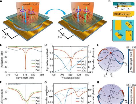 Electrically Tunable Topological Phase Transition In Non Hermitian