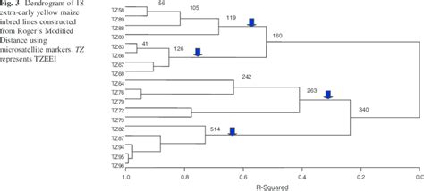 Dendrogram Of 18 Extra Early Yellow Maize Inbred Lines Constructed From