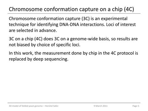 Ppt 3d Model Of The Folded Yeast Genome Powerpoint Presentation Id