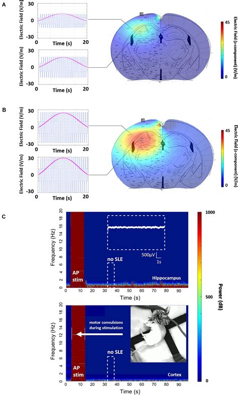 Frontiers Orientation Of Temporal Interference For Non Invasive Deep