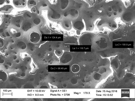 Typical Microstructure Of Separate Areas Of Coating Surface After ¯ring