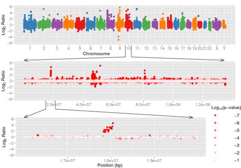 Copy Number Variation Between Two Human Individuals Copy Number