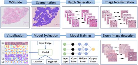 Frontiers Prediction Of Breast Cancer Recurrence Using A Deep