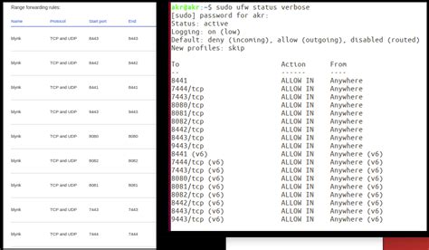how to setup my blynk local server so that i can use it from out side