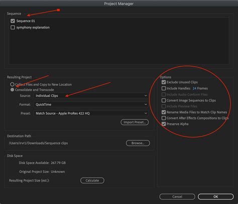 exporting a sequence as seperate clips from premiere easier answers