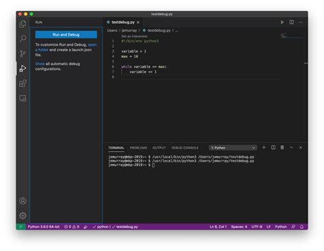 debugging python code with vscode