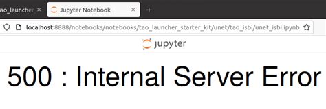 jupyter 500 internal server error opening any and all notebooks tao