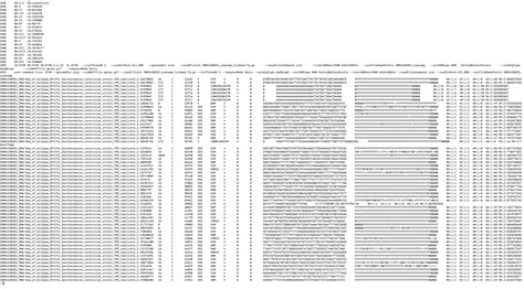 exception in thread main java lang nullpointerexception