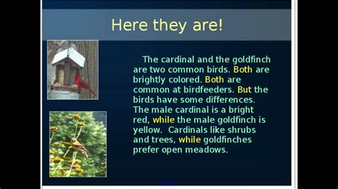 Compare And Contrast Text Structure Youtube