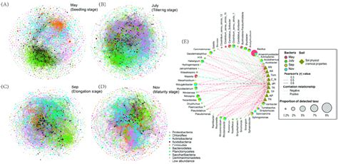 Co Occurrence Networks Analysis Between Rhizosphere Bacteria Otus And