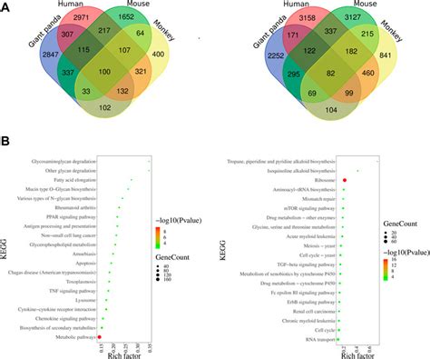 Frontiers Comparative Transcriptome Analyses Of Immune Responses To