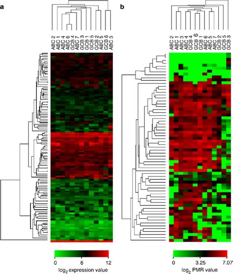 Hierarchical Clustering Of Gene Expression And Dna Methylation Analyses