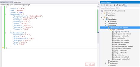 cross platform single page applications with asp core 1 0 angular
