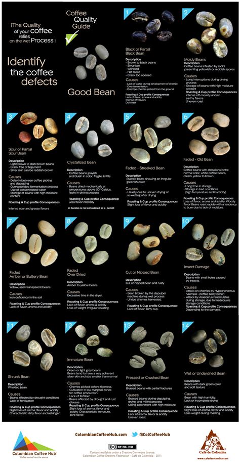 Coffee Bean Defect Chart