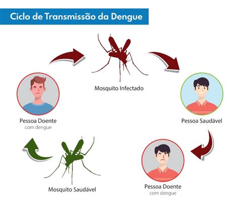 Dengue Preocupa Pois Casos Da Doença Aumentam 189 Em Todo Brasil